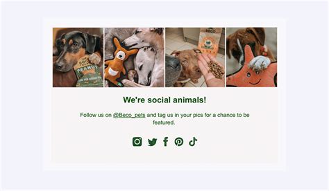 Ways To Repurpose Content For Email Marketing Elastic Email