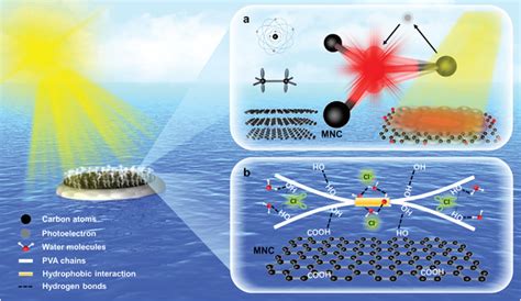 Schematic Illustration Of Solar‐driven Interfacial Desalination Using