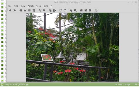 Image Viewer Xviewer On Linux Mint Crashes On Large Pictures Set Alternative Nomacs As