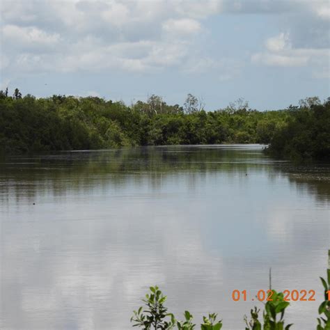 The Landing Glen Isla Road Proserpine