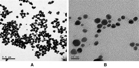 A And B Characterization Of The Sterilized Zno Nanoparticle A And B Download Scientific