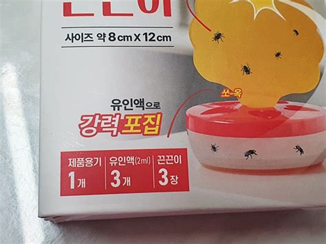 다이소 초파리 트랩 끈끈이 트랩 효과 진짜 있을까