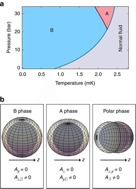 Bulk Fluid Phase Diagram And Visual Representation Of The Superfluid Download Scientific