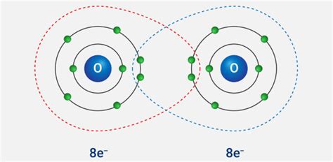 Octet Rule Exceptions