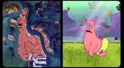Venice Looks Like Patrick When He Needs Water Pareidolia
