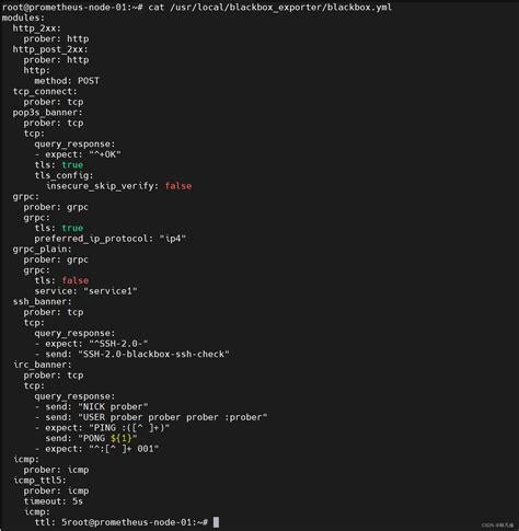 Prometheus监控案例之blackbox Exporterblackbox Exporter Csdn博客