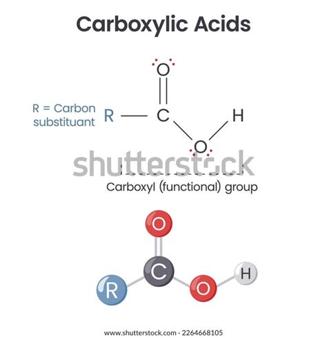 Carboxyl Group Sketch