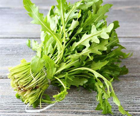 When To Harvest Arugula An Expert Guide Homes And Gardens