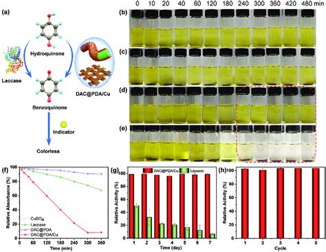 A Schematic Illustration Of Laccase Mimicking Catalytic Activity Of Download Scientific