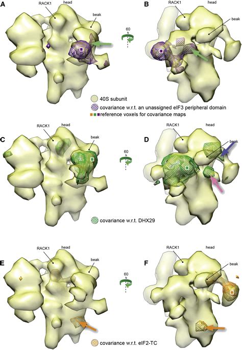 Efficient Estimation Of Three Dimensional Covariance And Its Application In The Analysis Of