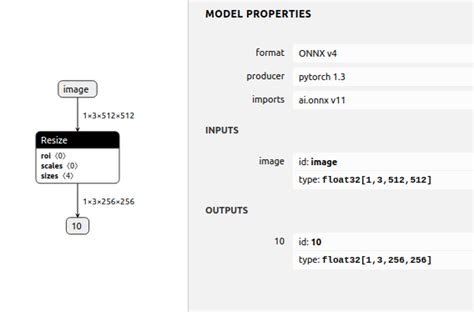 Onnx Mnn Resize Operation Outputs Extra Dimension · Issue 784