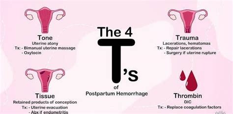 Postpartum Hemorrhage