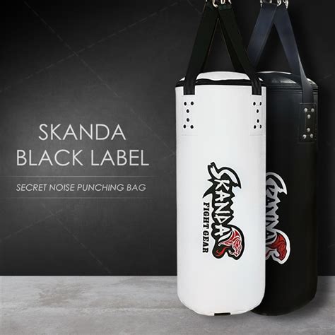 스칸다파이트기어