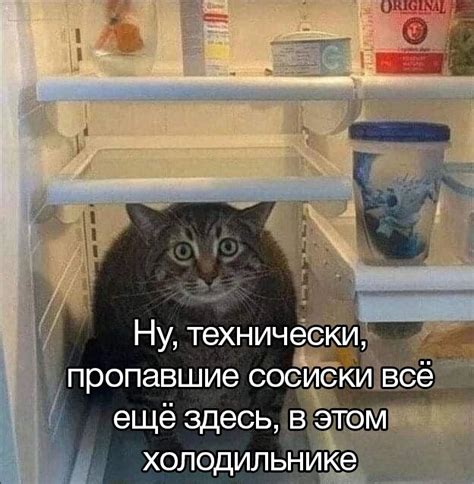 Не поспоришь | Пикабу