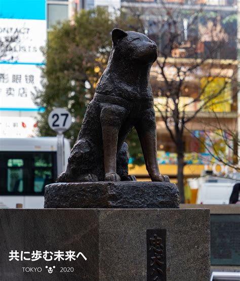 探索akibo的每一步都充滿風格 北歐森林