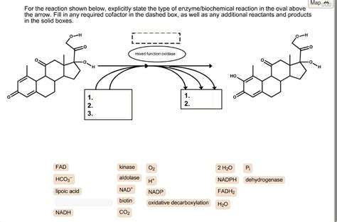 Solved Map For The Reaction Shown Below Explicitly State The Type Of Enzymelbiochemical