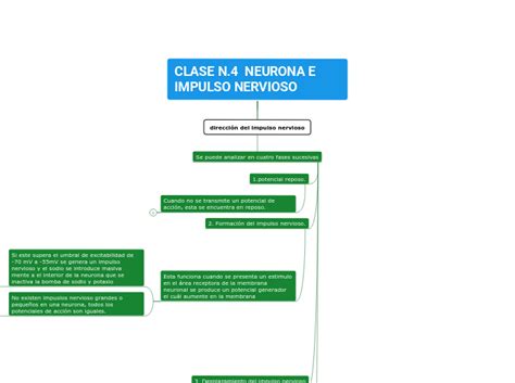 Clase N4 Neurona E Impulso Nervioso Mind Map