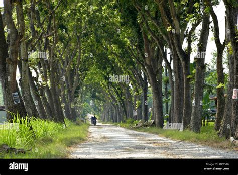 Java Road Hi Res Stock Photography And Images Alamy