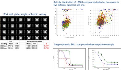 Phenotypic Screening Services Cro Services