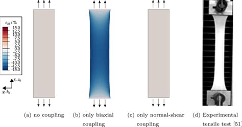 Comparison Of Strains For Bias Extension Test Download Scientific