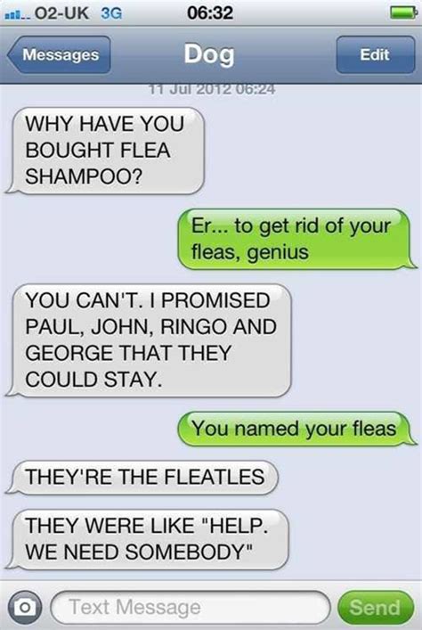 The 35 funniest text messages dogs would send, if they could text