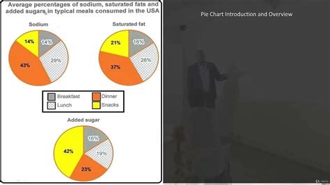 8 Pie Chart Introduction And Overview Paragraphs 1 And 2