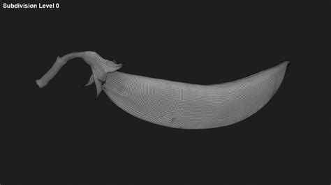 Snap Pea 02 3d Model Turbosquid 2250015