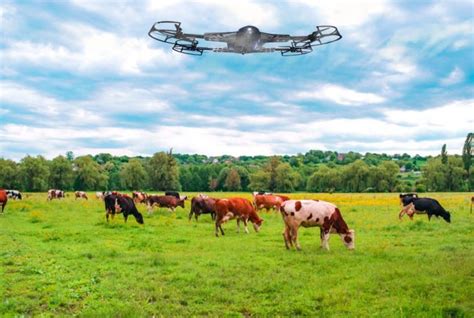 Search Drones For Lost Cattle Zenadrone Inc