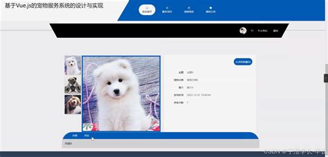Python毕设 基于vuejs的宠物服务系统的设计与实现2za98xm7程序论文 可用于毕业设计 Csdn博客