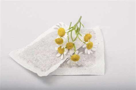 Canker Sores 10 Home Remedies For Canker Sores