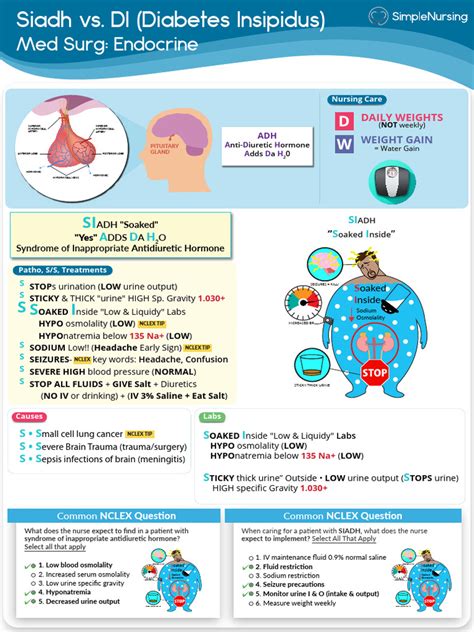 Siadh Vs Diabetes Insipidus Overview Pdf Endocrine System