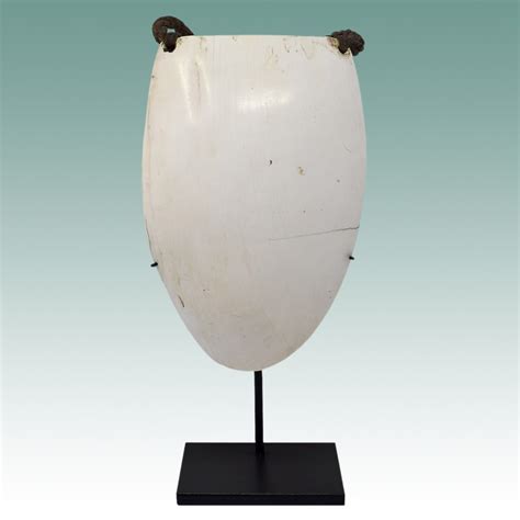 Bailer Shell Pectoral 1 Papua New Guinea — Morgan Oakes Gallery