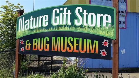 Bremerton Bug Museum All You Need To Know Before You Go 2026 With