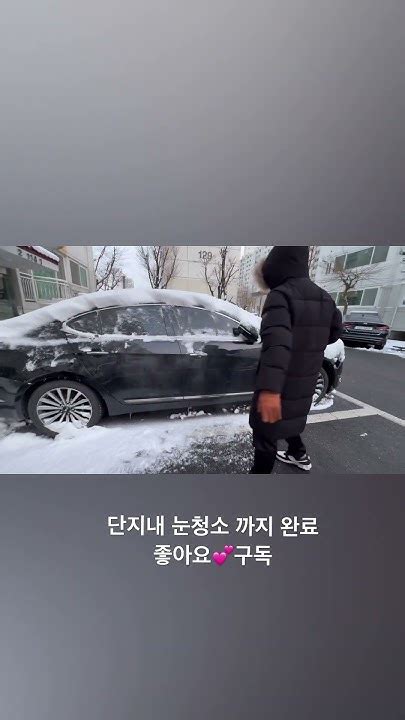 차 눈 제거는 이렇게 하는 거지차눈제거차눈털기차눈청소 Youtube