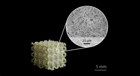 Sallea Ag Startup Ch