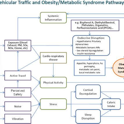 Conceptual Framework Conceptual Framework Illustrating Pathways From Download Scientific