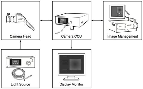 Using Xilinx Fpgas To Solve Endoscope System Architecture Challenges Edge Ai And Vision Alliance