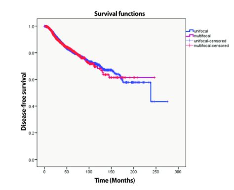 This Figure Shows The Kaplan Meier Estimator Of Disease Free Survival