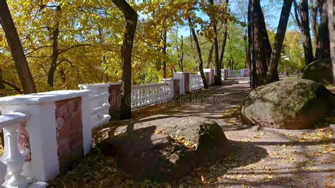 The Alley With Fallen Leaves Drevlians Park Korosten Ukraine Stock Video Video Of Tree