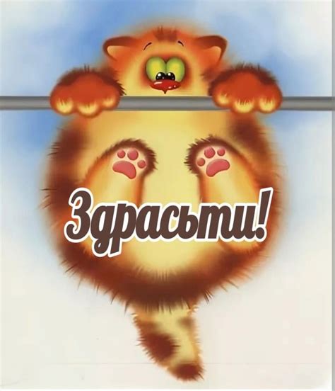 Пин от пользователя Alla Novika на доске Доброе утро в 2024 г Счастливые картинки Смешные