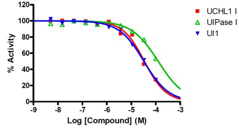 Usp5 Ubiquitin Proteasome Pathway Assay Service Reaction Biology