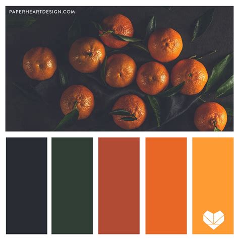 Burnt Orange Color Palette
