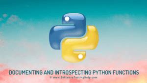 Python Docstring Documenting And Introspecting Functions