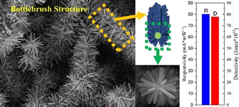 Self Powered Broadband Photodetectors Material Based On Co3o4zno