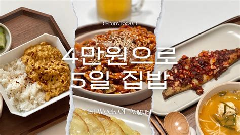 식비절약 4만원으로 일주일 집밥 해먹기 8월1주차 식비절약브이로그 집밥브이로그 Youtube