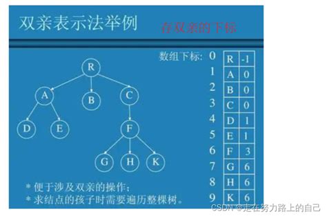 二叉树详解 深度优先遍历、前序，中序，后序、广度优先遍历、二叉树所有节点的个数、叶节点的个数 阿里云开发者社区