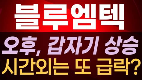 블루엠텍 주가전망 오후장 급등한 비만약관련주 위고비 최대 수혜주 위고비 한국 유통사 유일 제약관련주 집중 앞으로