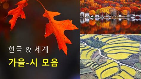 【명작 가을 시 모음】 릴케 베를레느 김현승 박재삼 두보 Youtube