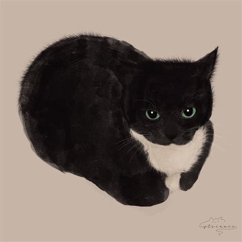 Maxwell Cat Meme