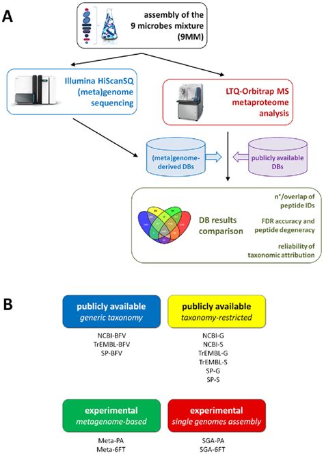 Schematic Illustration Of The Study Workflow A Experimental Design